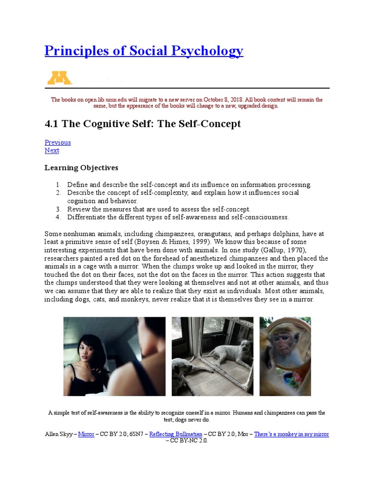 Principles of Social Psychology | PDF | Self Awareness | Self Concept