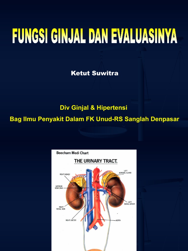 Fungsi Ginjal Dan Evaluasinya | PDF