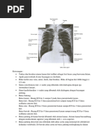 PDF Anatomi Thorax Normal Gambaran Radiologi Compress | PDF