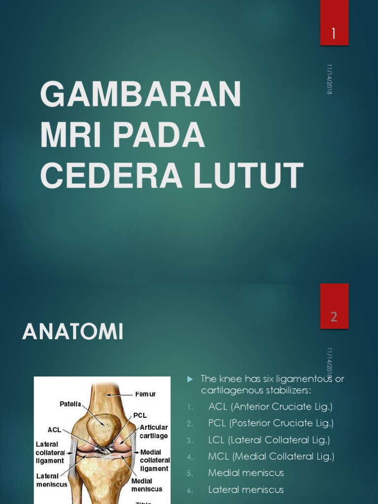Gambaran Mri Pada Cedera Lutut | PDF | Knee | Lower Limb Anatomy