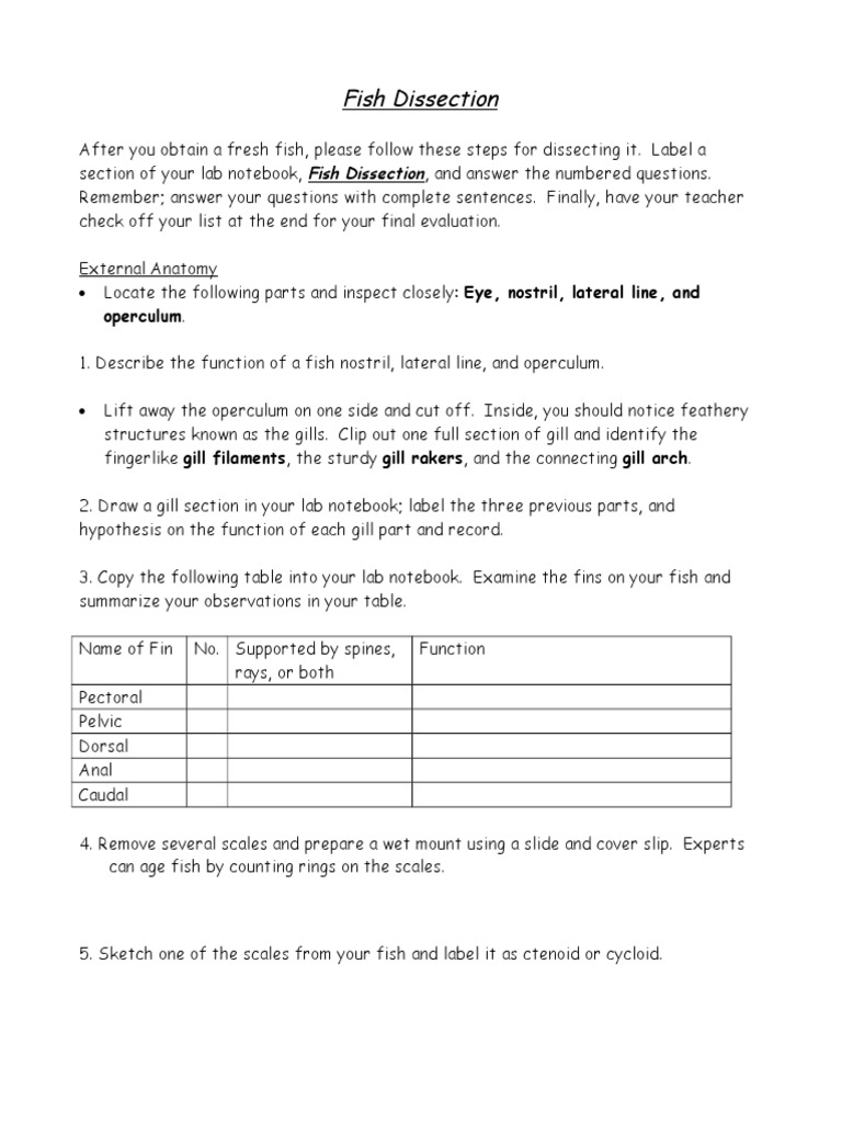 Fish Dissection | PDF | Gill | Fish