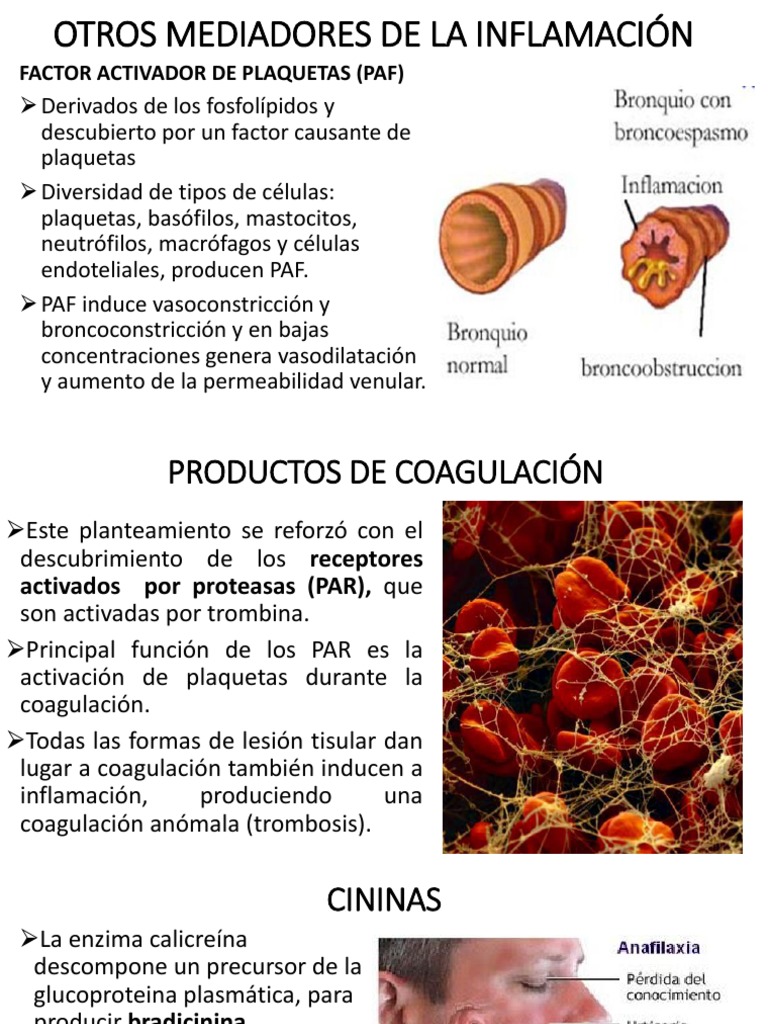 Otros Mediadores De La Inflamación: Factor Activador De Plaquetas (Paf ...