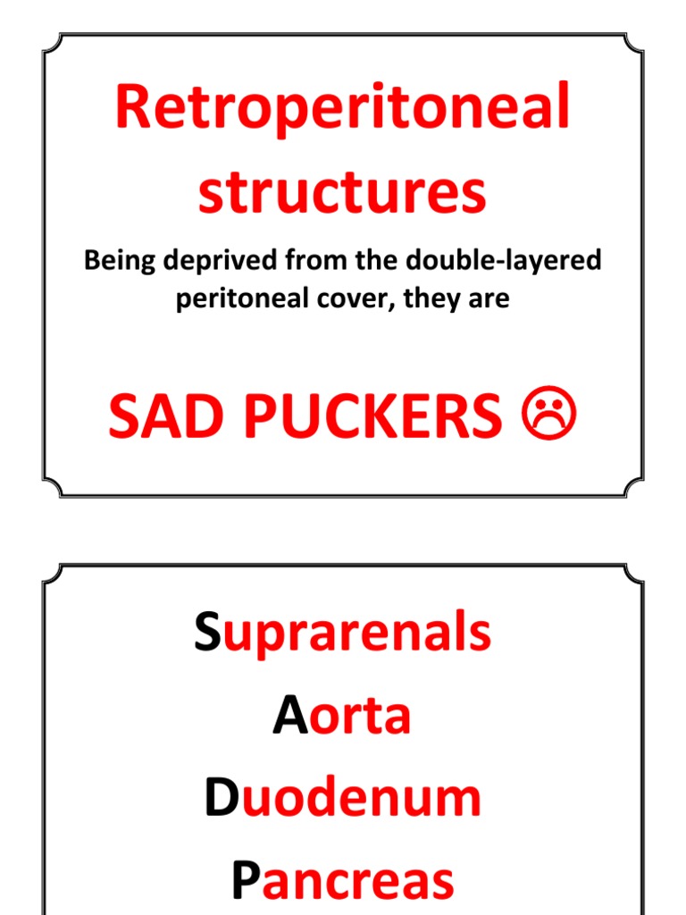 Retroperitoneal Structures: Being Deprived From The Double-Layered ...