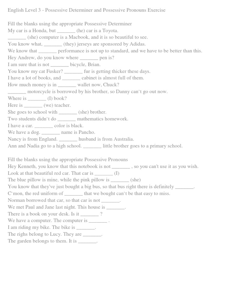 Possessive Determiners and Pronouns Exercises | PDF