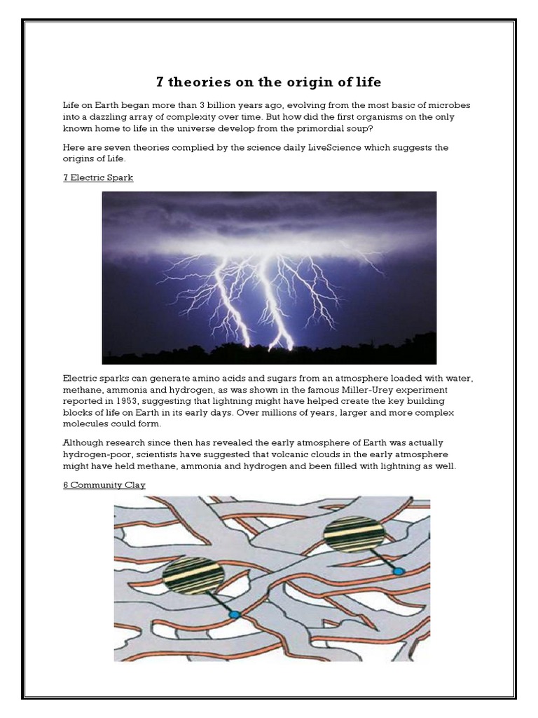 7 Theories On The Origin of Life | PDF | Abiogenesis | Life