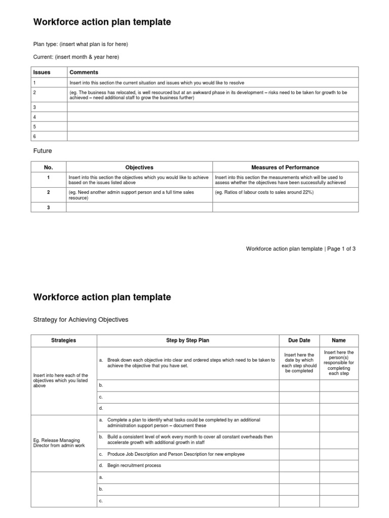 Workforce Action Plan Template | PDF | Recruitment | Business