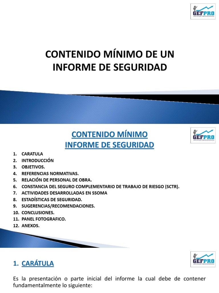 Contenido de informe Mínimo de seguridad, GEFPRO | PDF