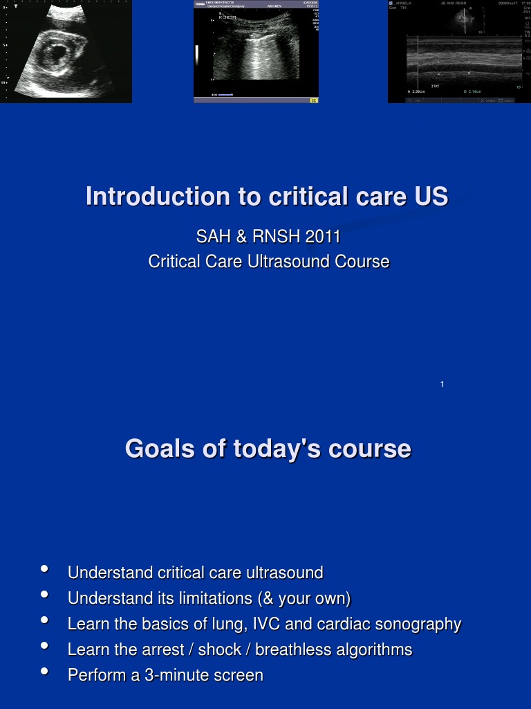 Introduction To Critical Care US | PDF | Medical Ultrasound ...