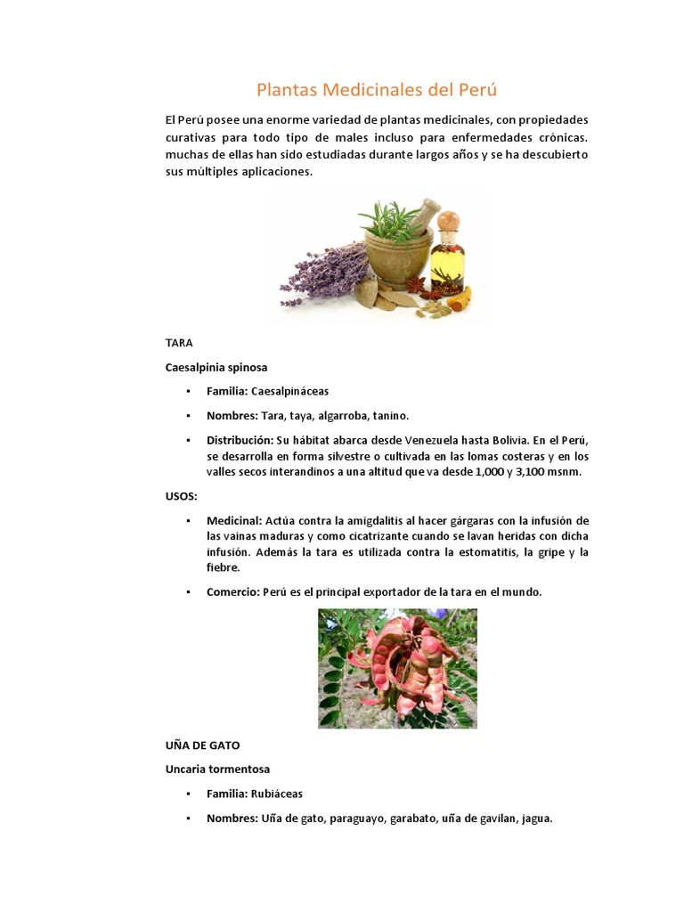 Plantas Medicinales del Perú y sus Usos | PDF | Especialidades Medicas ...