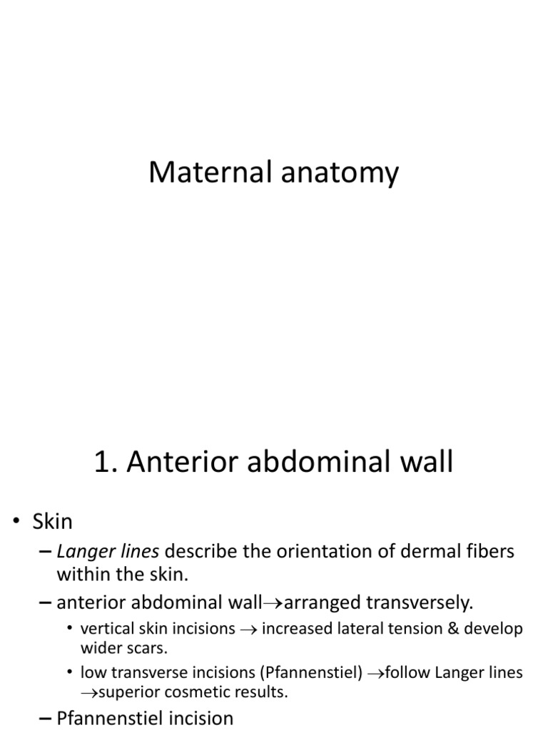 Maternal Anatomy | PDF | Vagina | Uterus