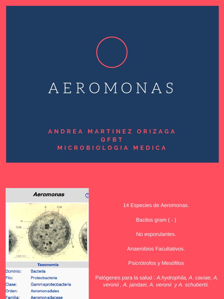 Aeromonas | PDF