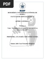 Prueba de Excentricidad en Balanzas | PDF | Química | Ciencias fisicas