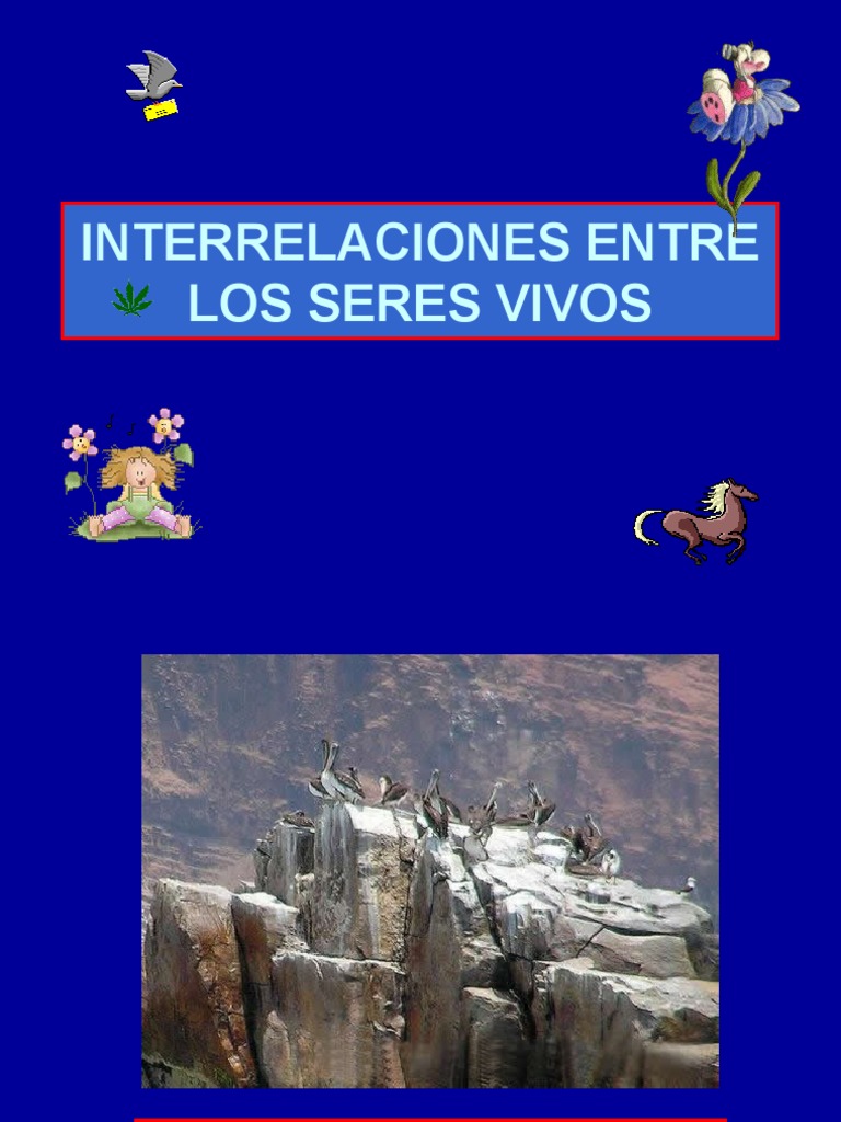 INTERACCIONES ENTRE LOS SERES VIVOS - Ppt.pps | PDF | Depredación | Hormiga