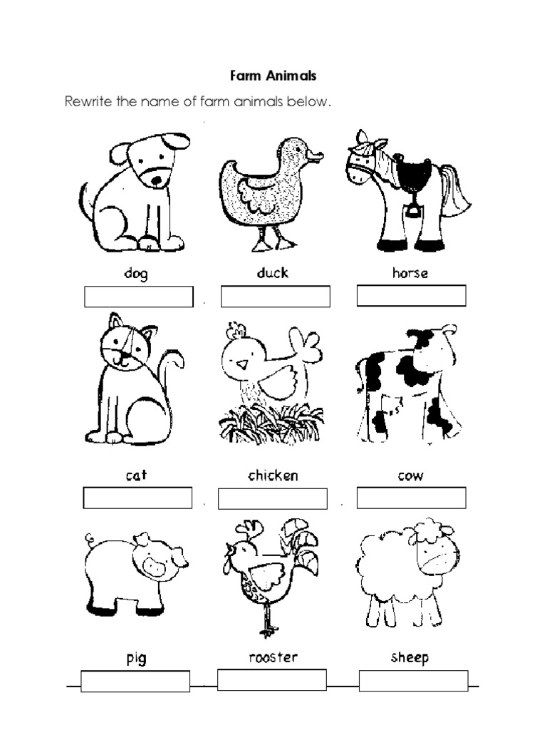 Animals Worksheet | PDF