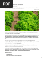 Onion Farming for Filipino Growers | PDF | Onion | Fertilizer