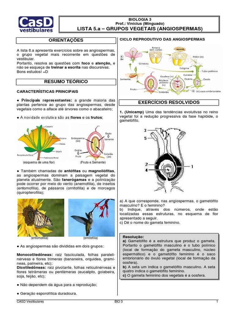 Ciclo Reprodutivo das Angiospermas e Exercícios sobre Grupos Vegetais | PDF | Flores | Semente