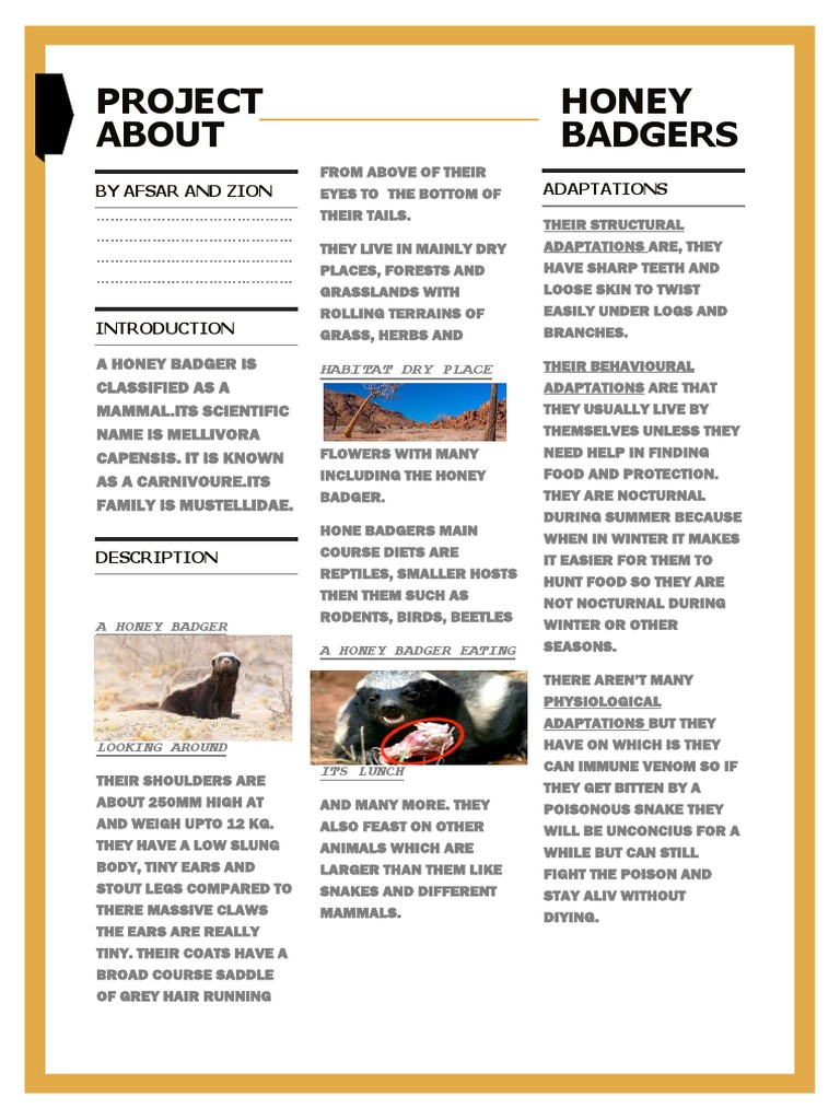 Project About Honey Badgers | PDF | Organisms | Nature