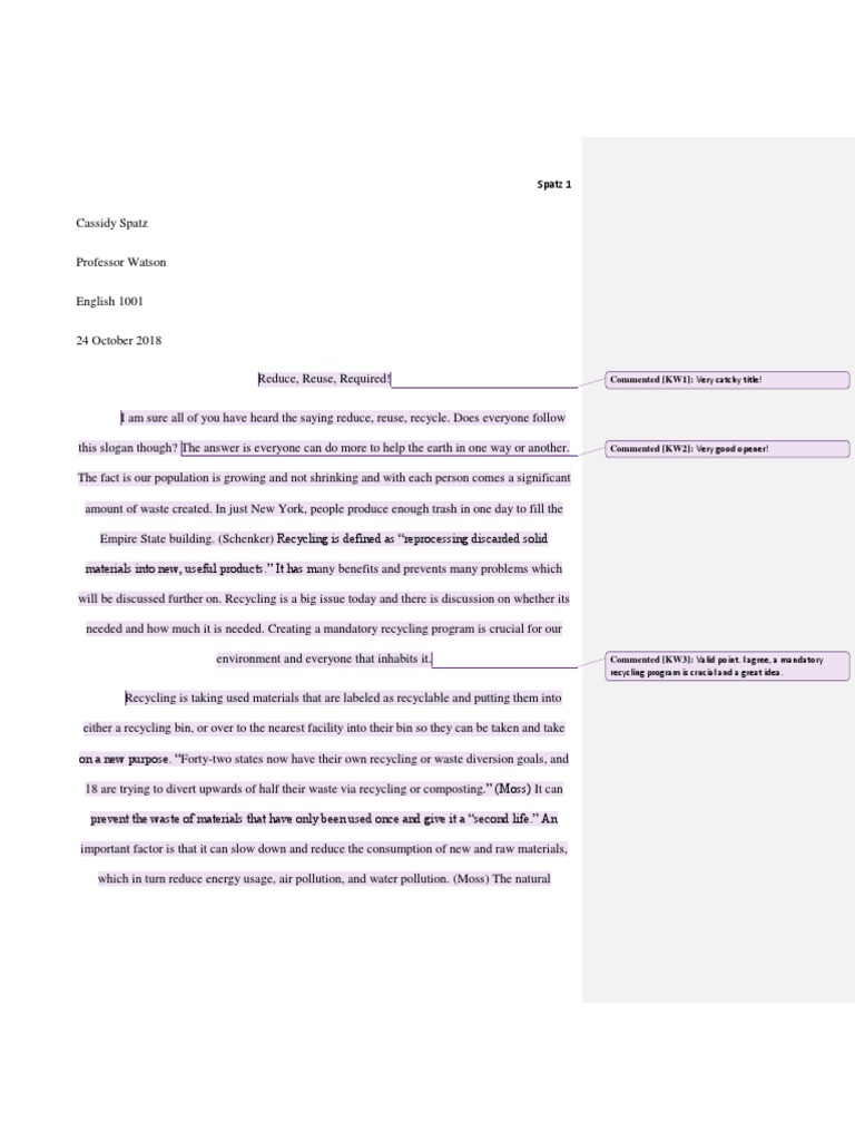 Cassidy Spatz 1001 Research Esaay FD Grade | PDF | Recycling | Citation