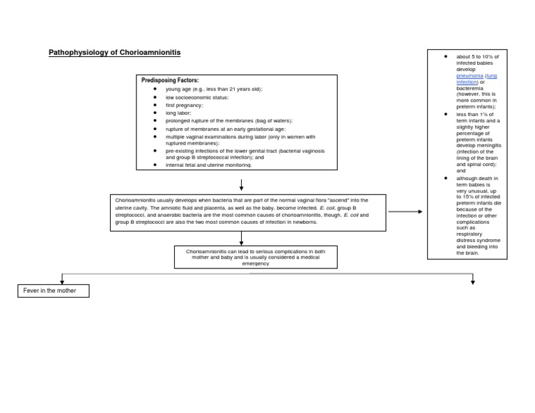 Pathophysiology of Chorioamnionitis | PDF | Preterm Birth | Streptococcus