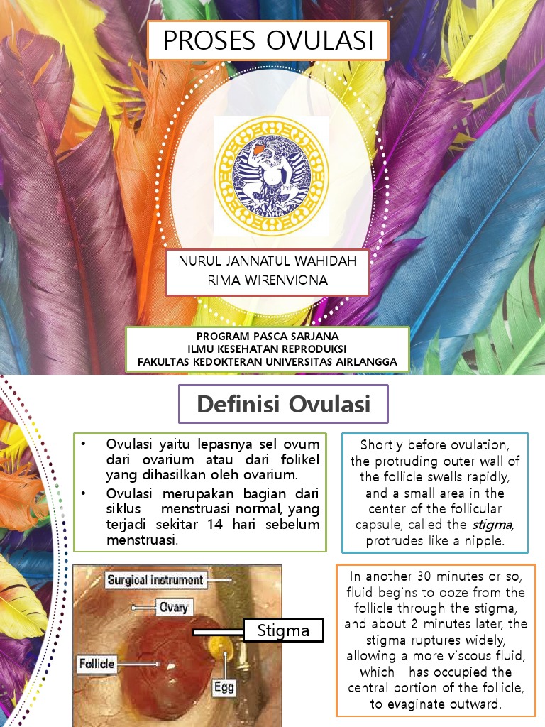 Proses Ovulasi | PDF