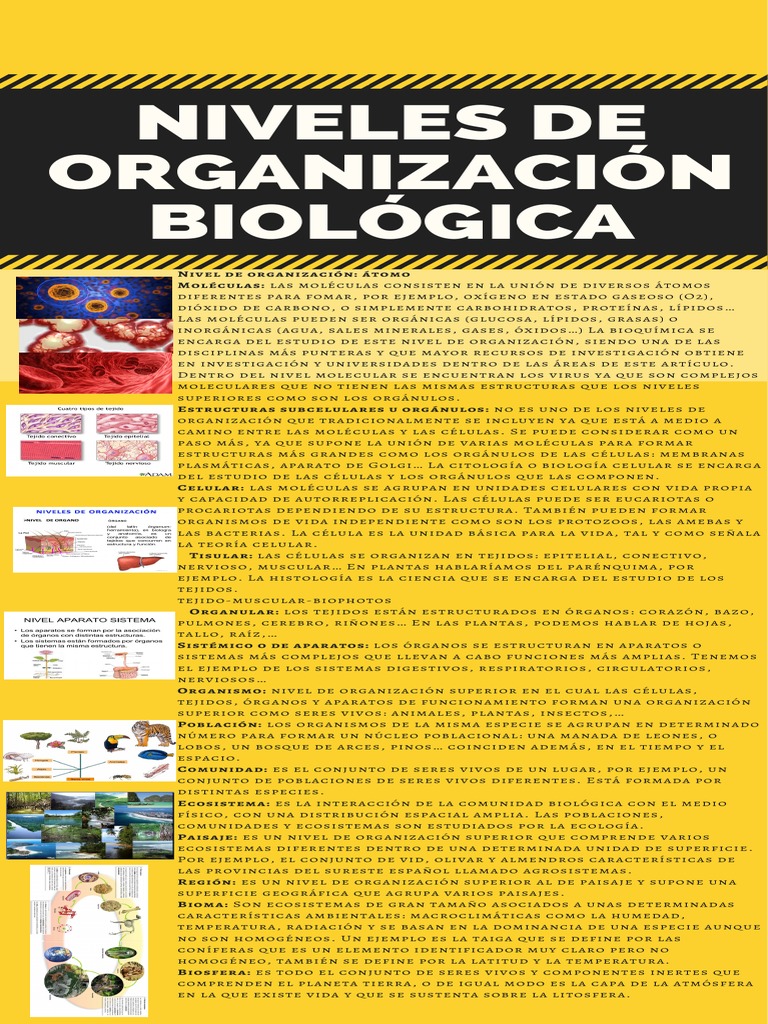 Info Grama | PDF | Biología Celular) | Ecosistema