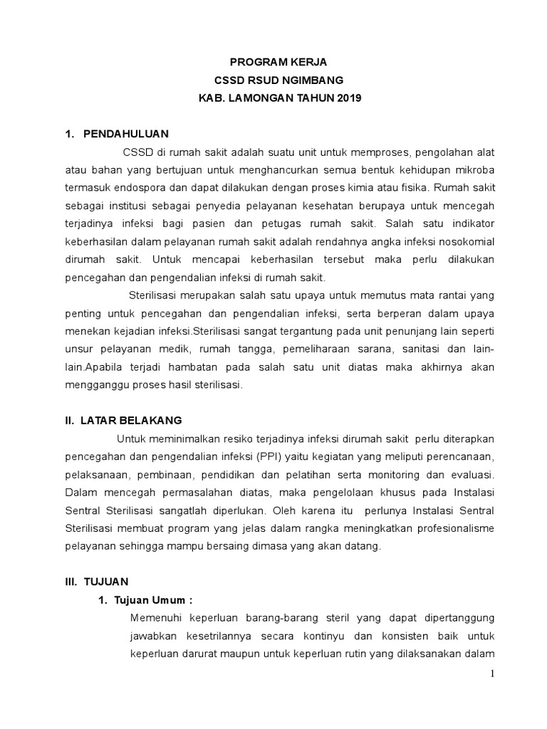 Program Kerja CSSD | PDF
