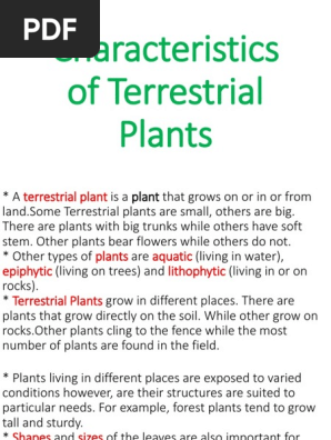 Examples Of Terrestrial Plants