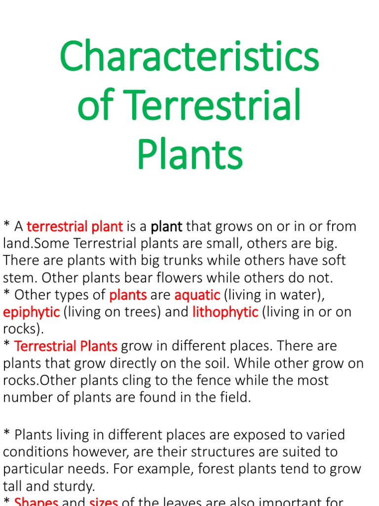 Characteristics of Terrestrial Plants | PDF