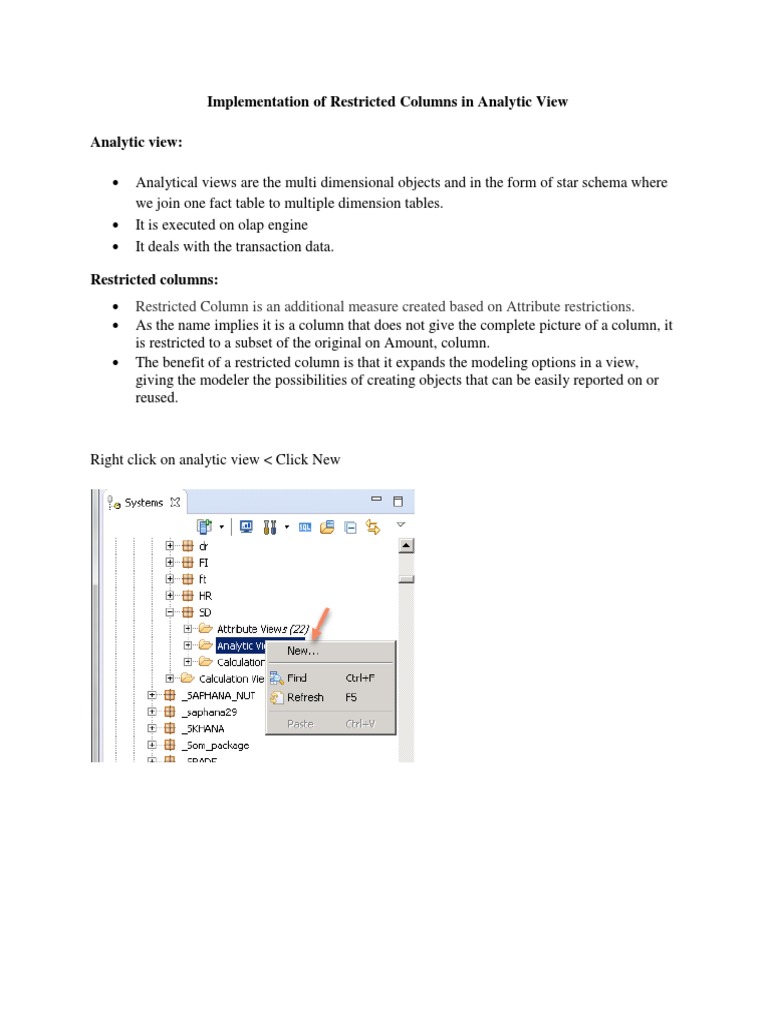 4.implementation of Restricted Columns in Analytic View | PDF