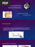 Niveles Axilares de Berg | PDF | Finanzas y dinero