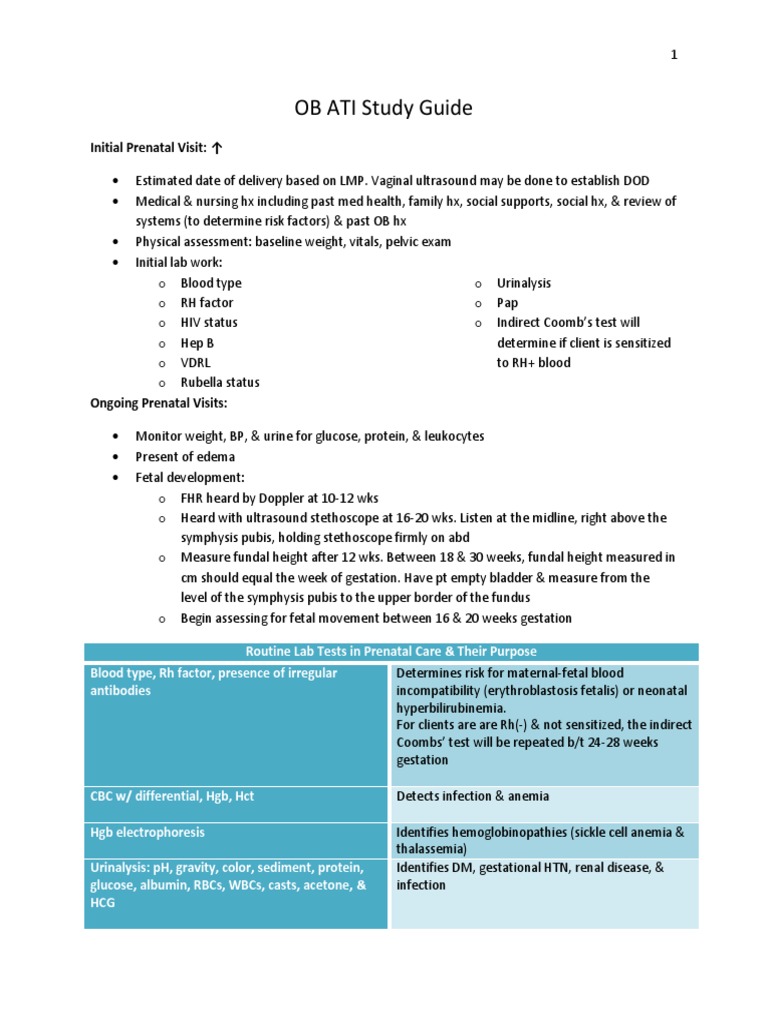 ATI OB Study Guide | PDF | Pregnancy | Fetus