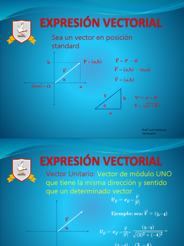 Expresión Vectorial