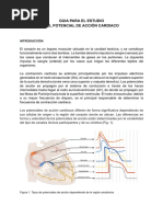 Clasificación de Baltimore de virus | PDF | Virus | La transcriptasa ...