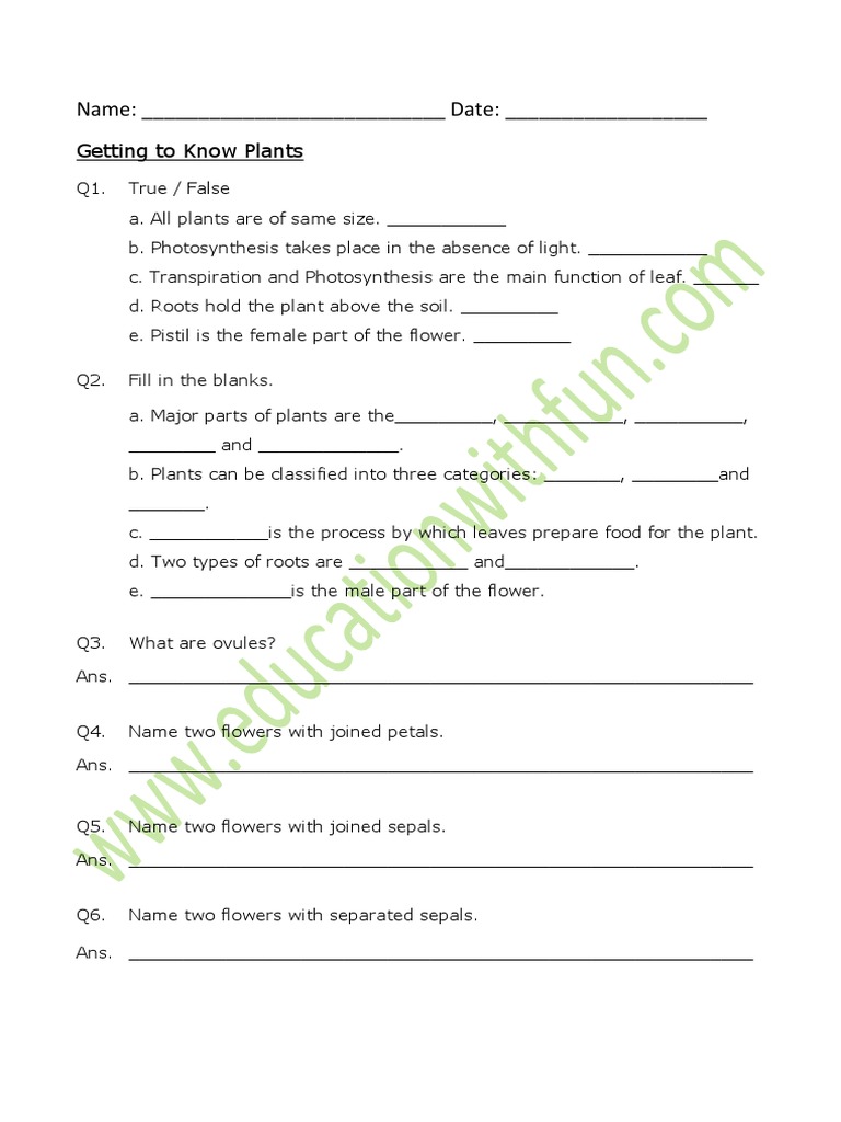 Getting To Know Plants - Worksheet - 1 PDF | PDF
