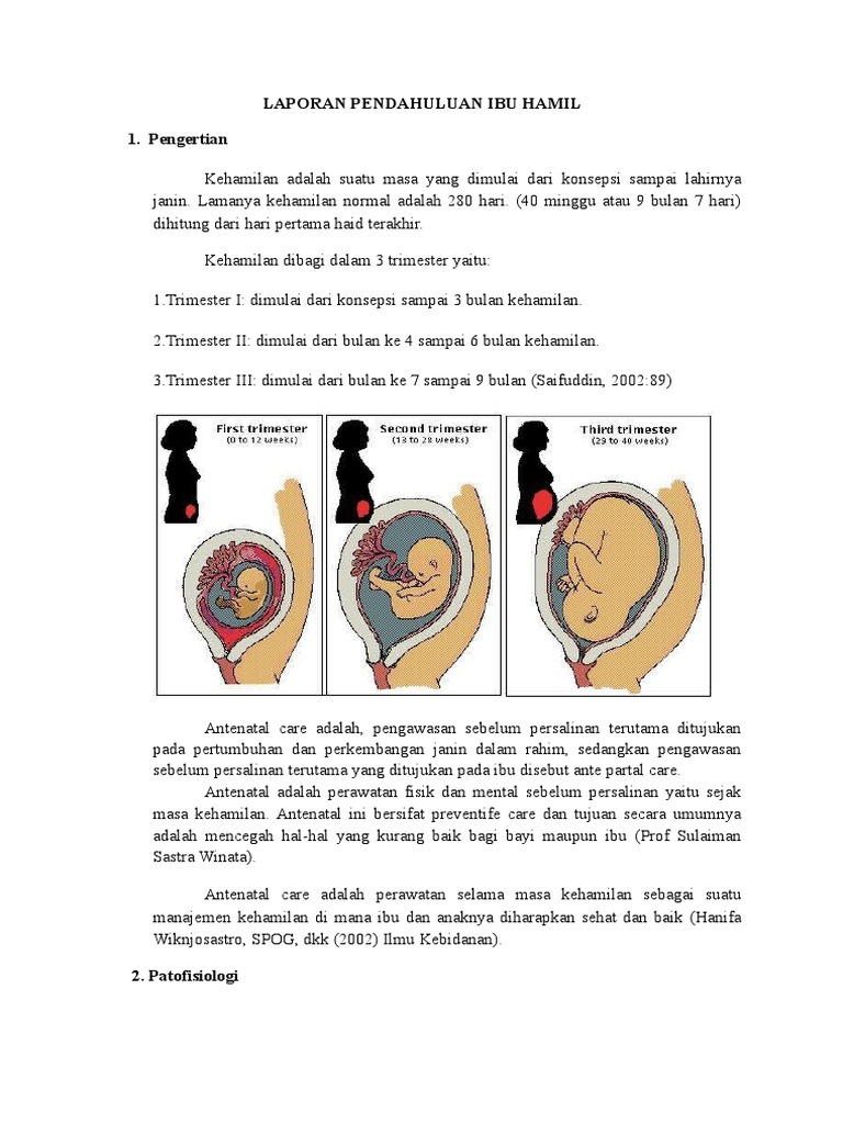 LP Ibu Hamil | PDF