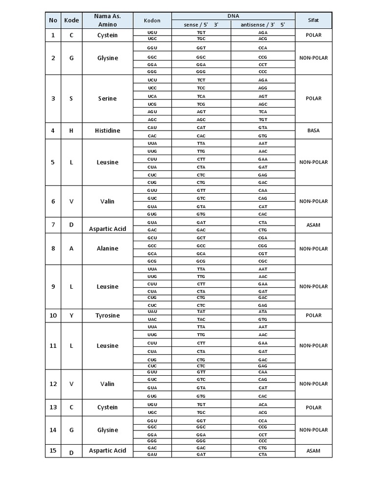 No Kode Nama As. Amino 1 C Cystein: Kodon DNA Sense / 5' 3' Antisense ...