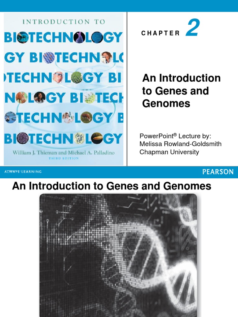 Genes and Genomes | PDF | Rna | Translation (Biology)