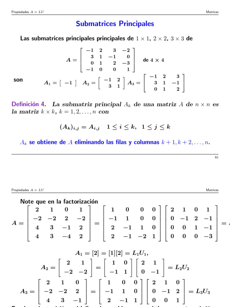 Las Submatrices Principales Principales de 1 × 1, 2 × 2, 3 × 3 de | PDF ...