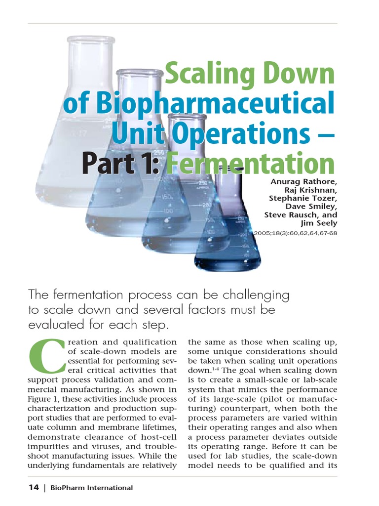 Scale-Down Models in Fermentation | PDF | Density | Assay