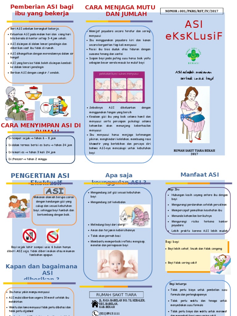 001 Leaflet Asi Eksklusif | PDF