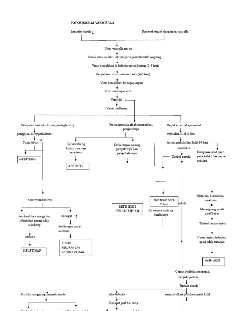 Pathway Varicella | PDF