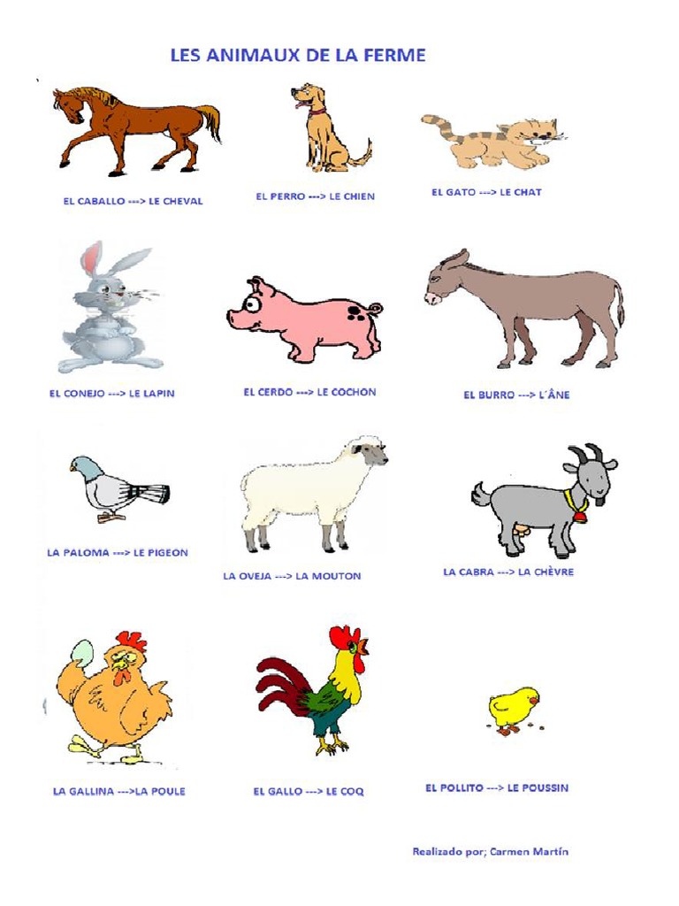 Animales Francés | PDF