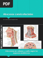 Triangulo de Farabeuf | PDF | Anatomía humana | Cabeza y cuello humanos