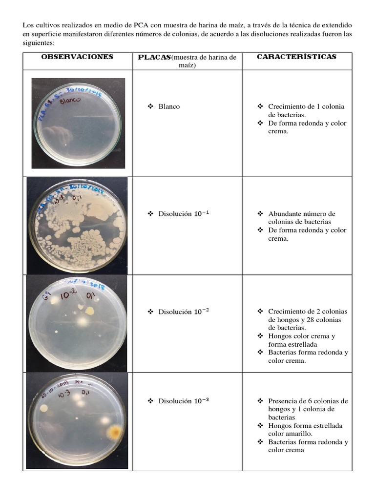 aerobios mesofilos | Ciencias de la tierra y de la vida | Biología