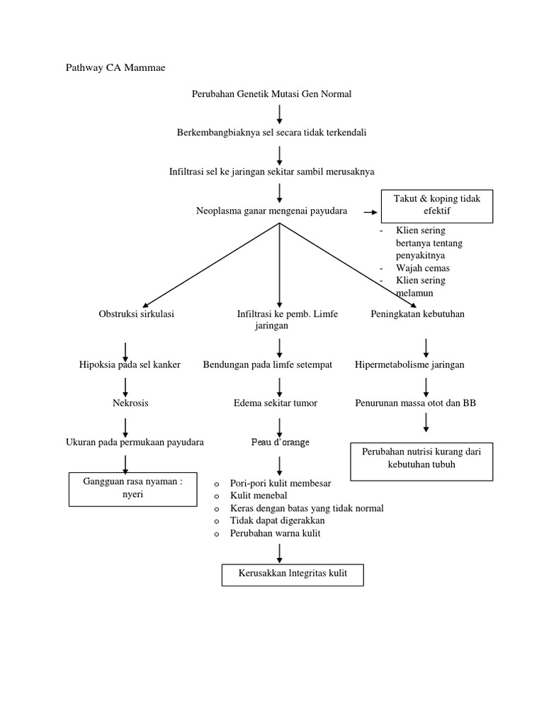 Pathway CA Mammae | PDF