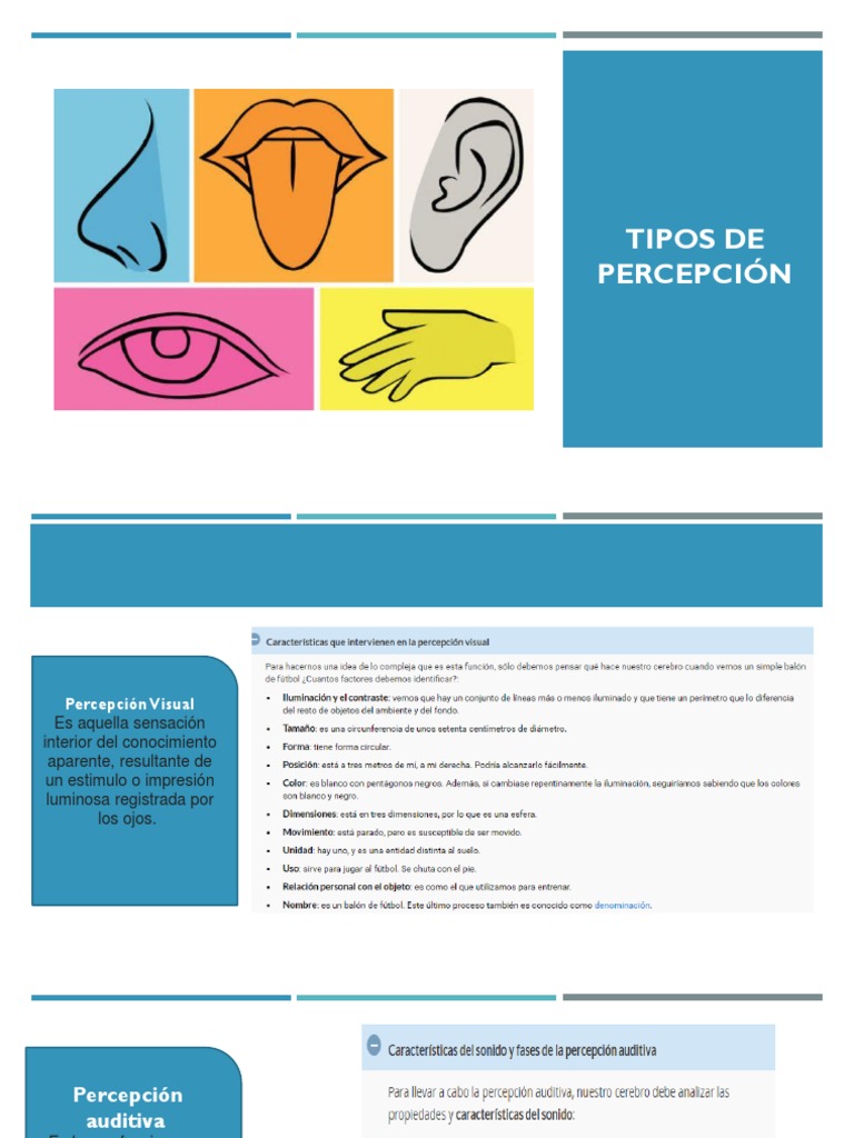 Tipos de Percepción