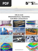 Sidetrack Well | PDF