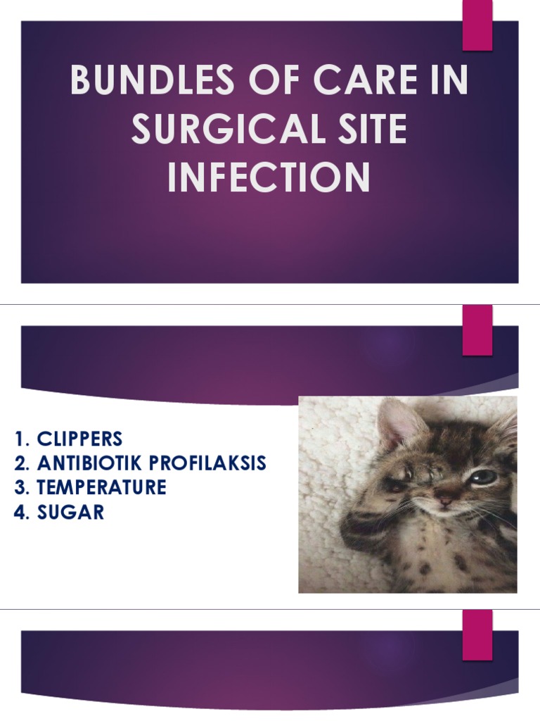 Bundles of Care in Surgical Site Infection | PDF