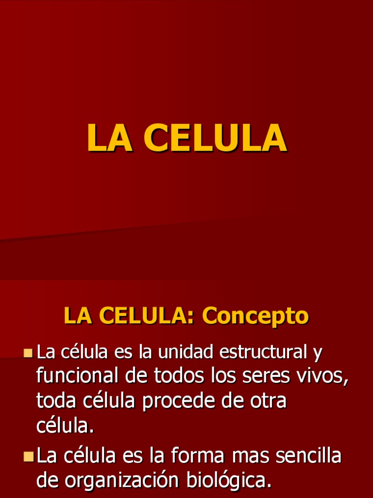 La Celula Pdf Membrana Celular Retículo Endoplásmico