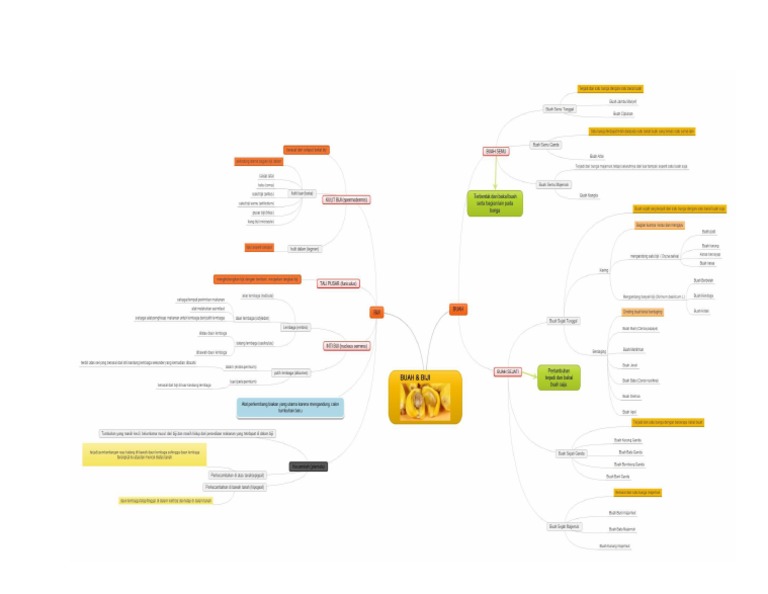 Mind Map Buah Dan Biji | PDF